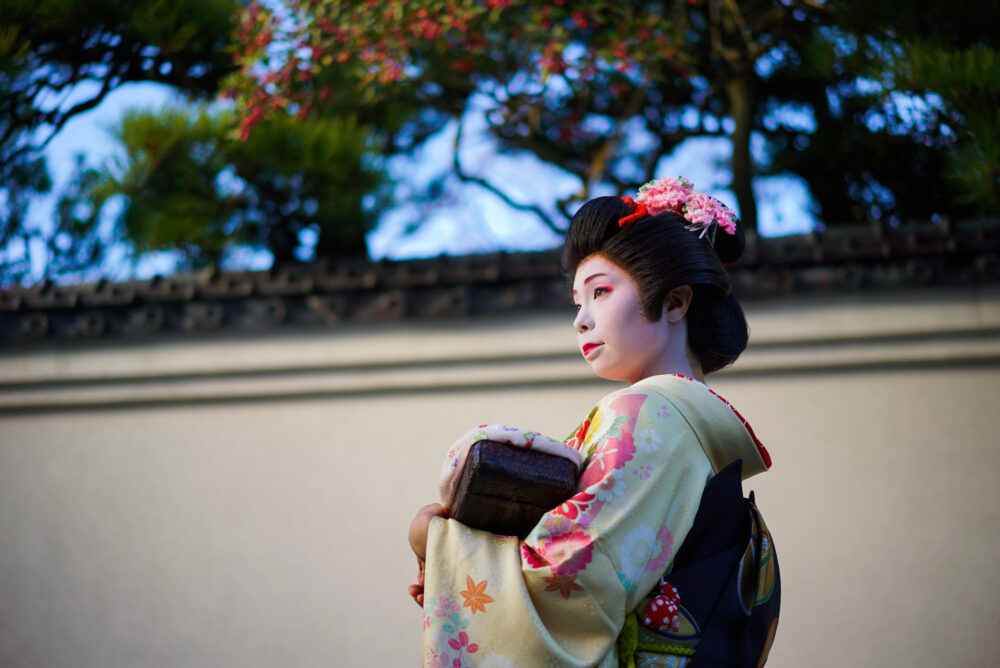 Have you been using "Geisha" correctly? | Edge of Niigata